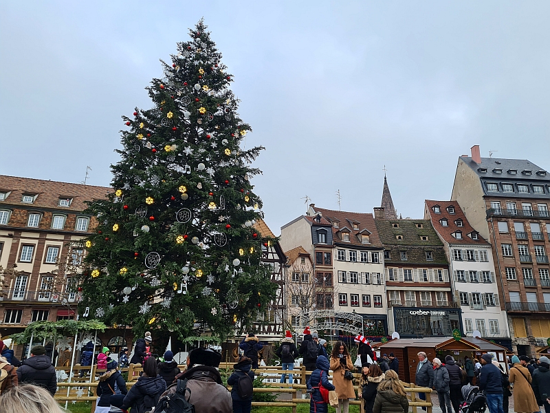 Bahnreiseberichte.de | Advent zwischen Schwarzwald und Lothringen